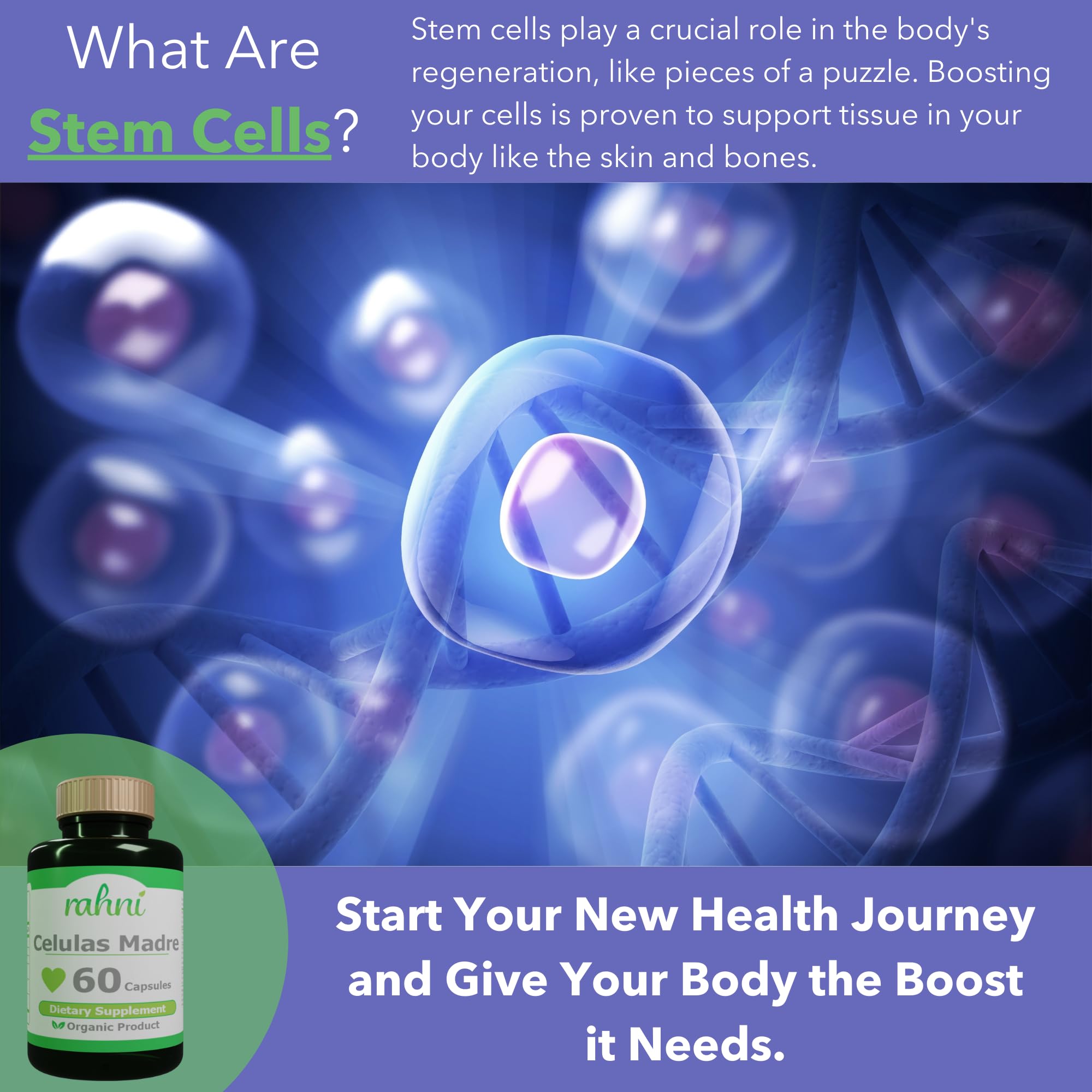 spirulina capsules for enhanced wellness