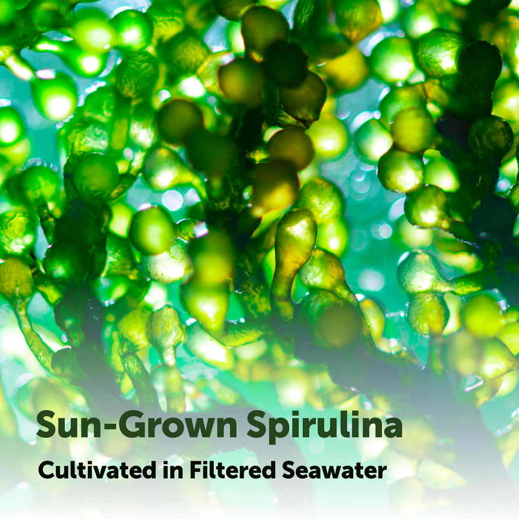 spirulina for athletes and fitness