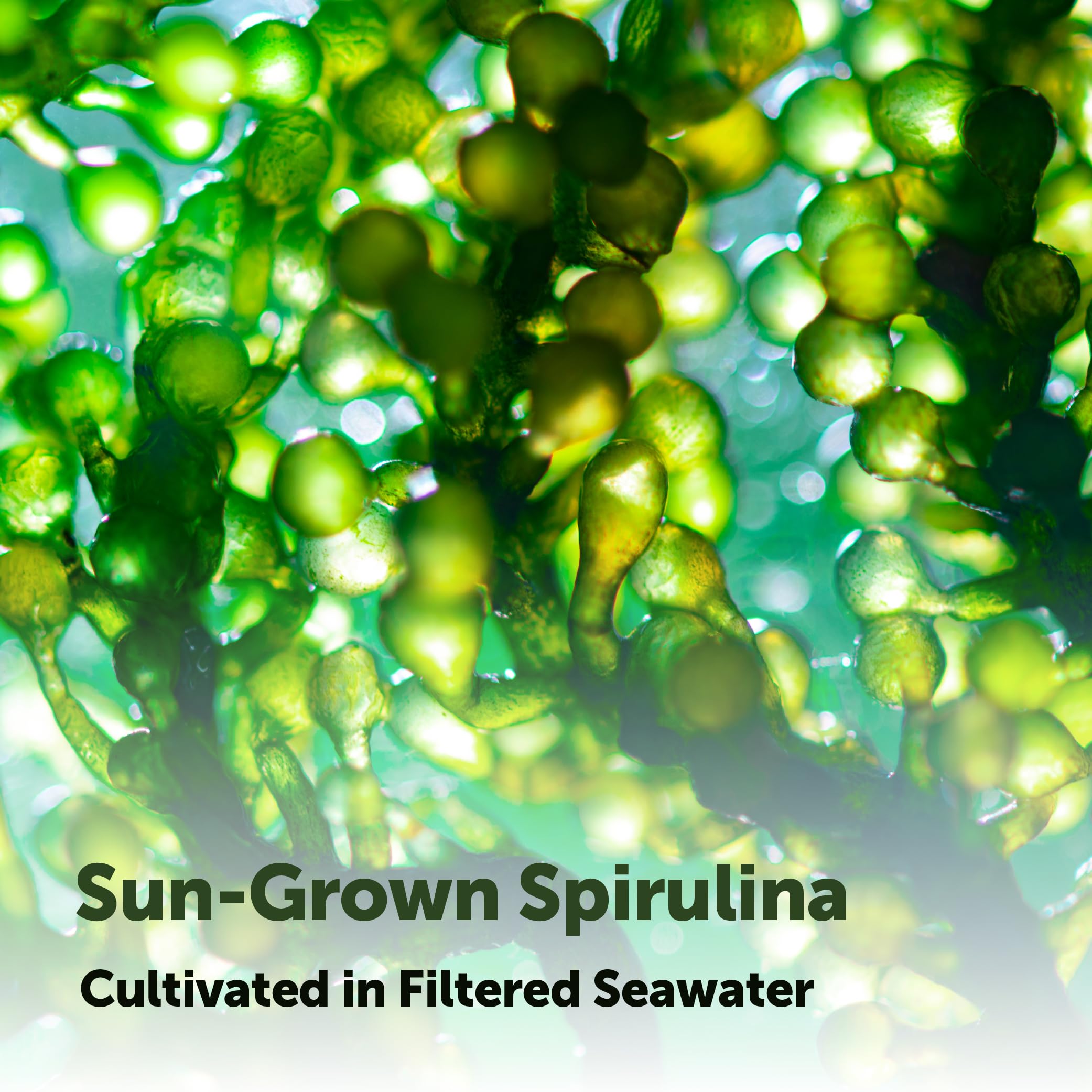spirulina for athletes and fitness