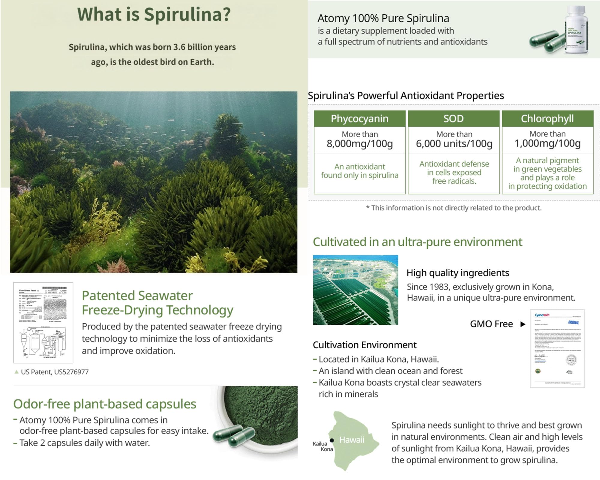 Spirulina for detox and cleansing