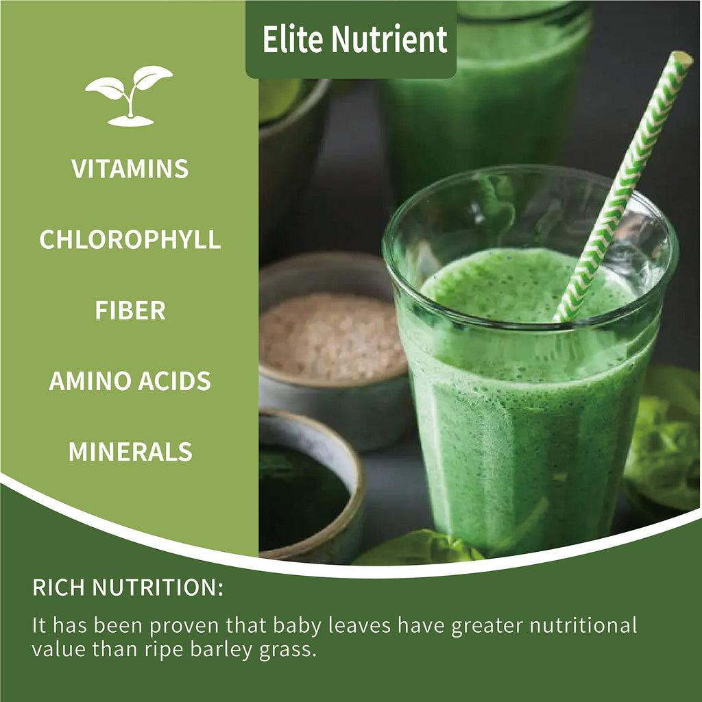 spirulina for immune system support