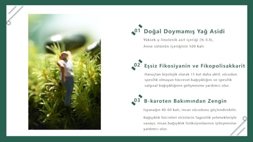 Spirulina for improved digestion health