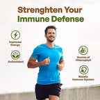 spirulina powder for detox and wellness