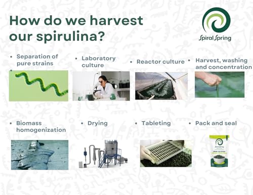 spirulina powder for detoxification