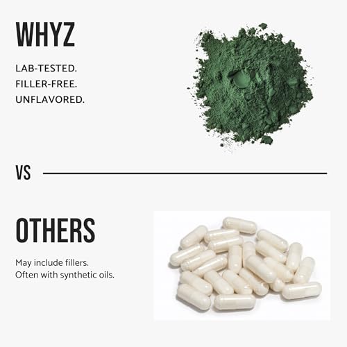 spirulina powder for fitness enthusiasts
