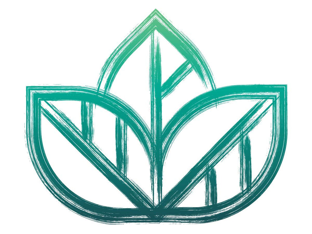 spirulina powder for gut health