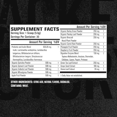 Spirulina powder for healthy lifestyle