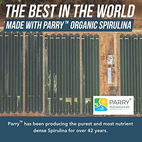 spirulina powder for natural nutrition