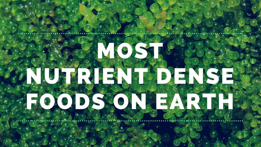 spirulina powder for plant-based diets