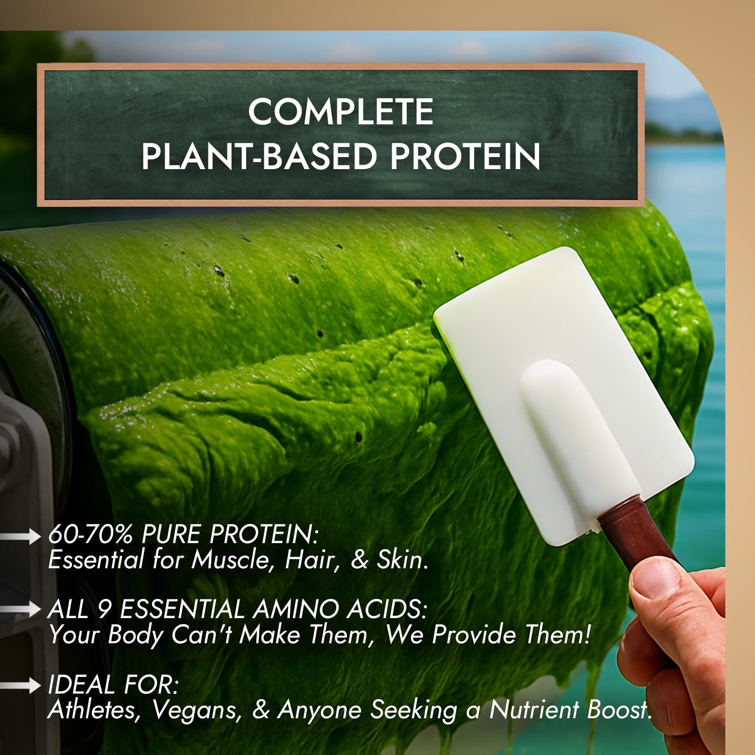 spirulina powder for skin health