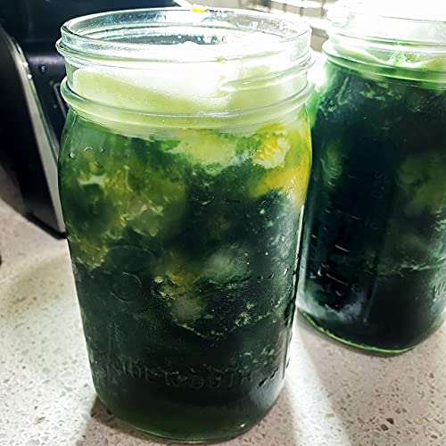 spirulina powder for vegan diets