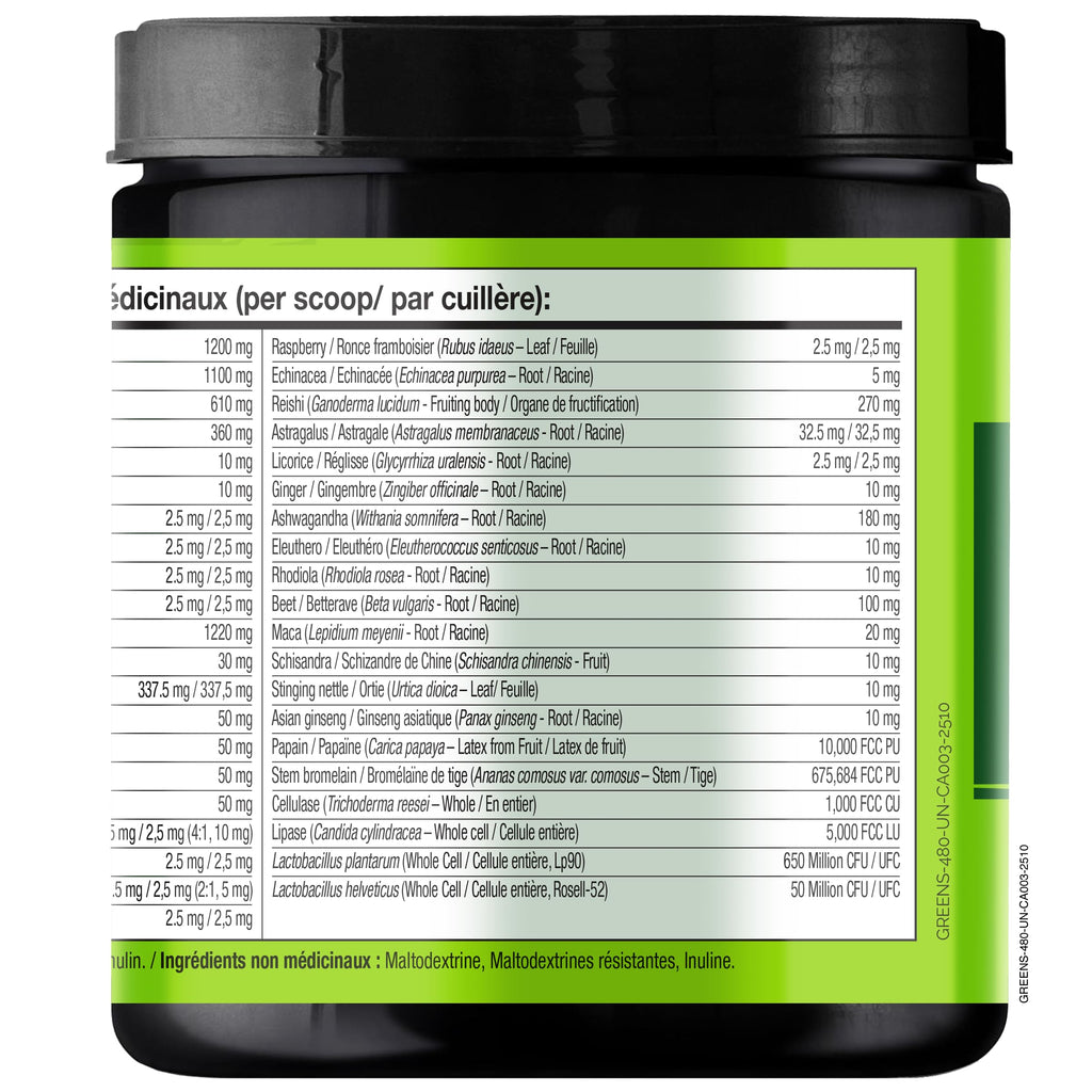 spirulina powder for vegan protein source