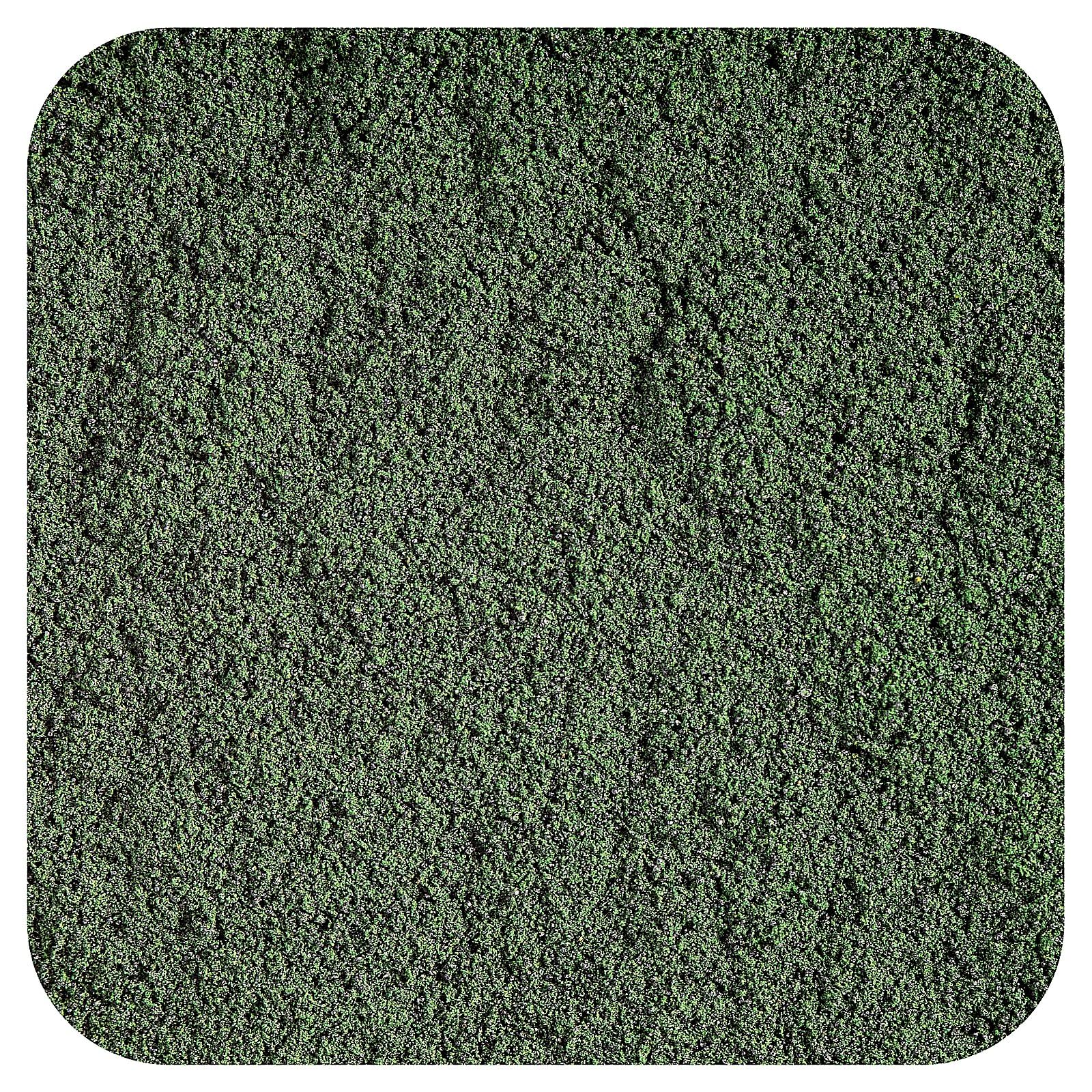 spirulina powder for vegan protein source