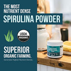 spirulina powder rich in protein