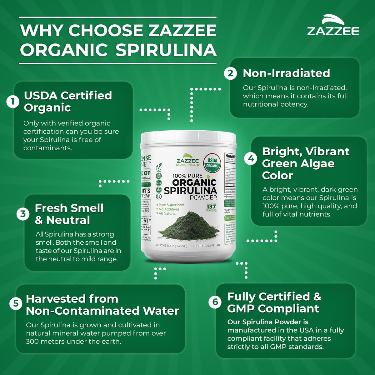 spirulina powder rich in protein