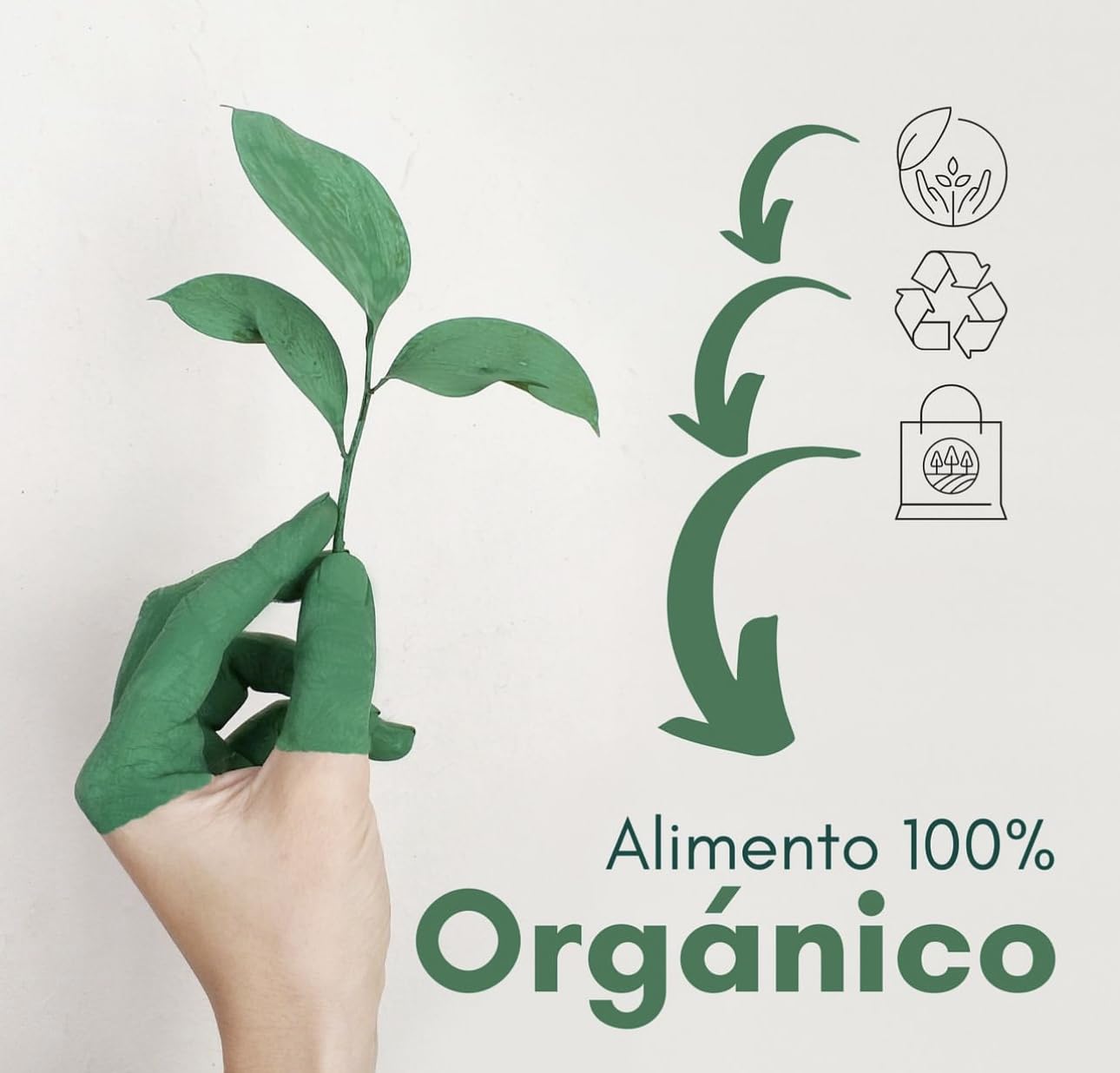 spirulina powder with natural soy lecithin