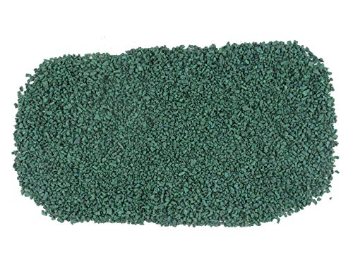 spirulina snack packed with nutrients