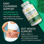 Spirulina superfood for daily nutrition