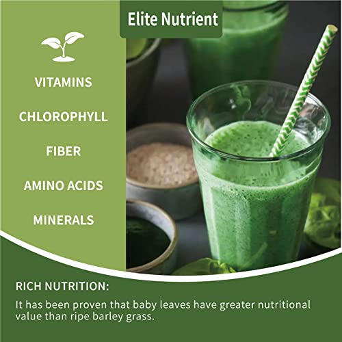 spirulina supplement for overall health
