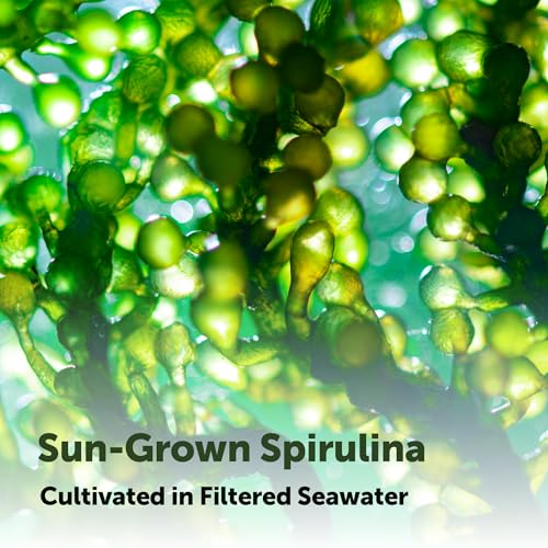spirulina tablets for daily nutrition