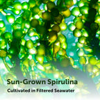 spirulina tablets for daily nutrition