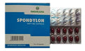 Spondylon Arjuna capsules for heart health