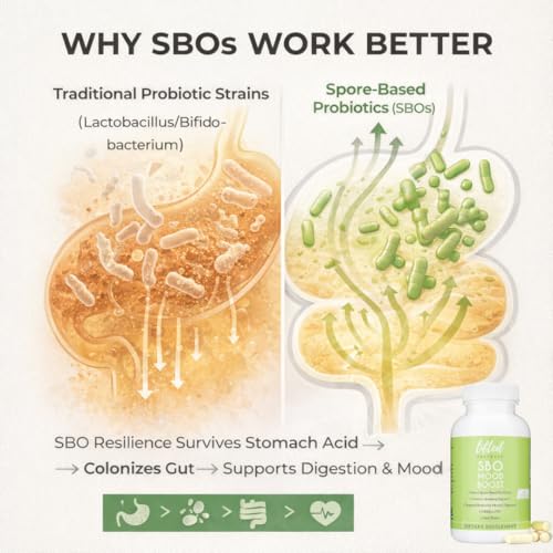 Spore-based probiotics for digestive health