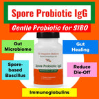 spore-based probiotics for gut health