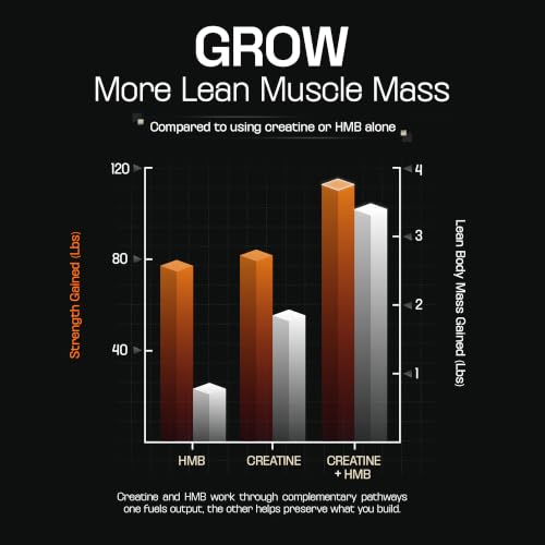 sports nutrition creatine blend