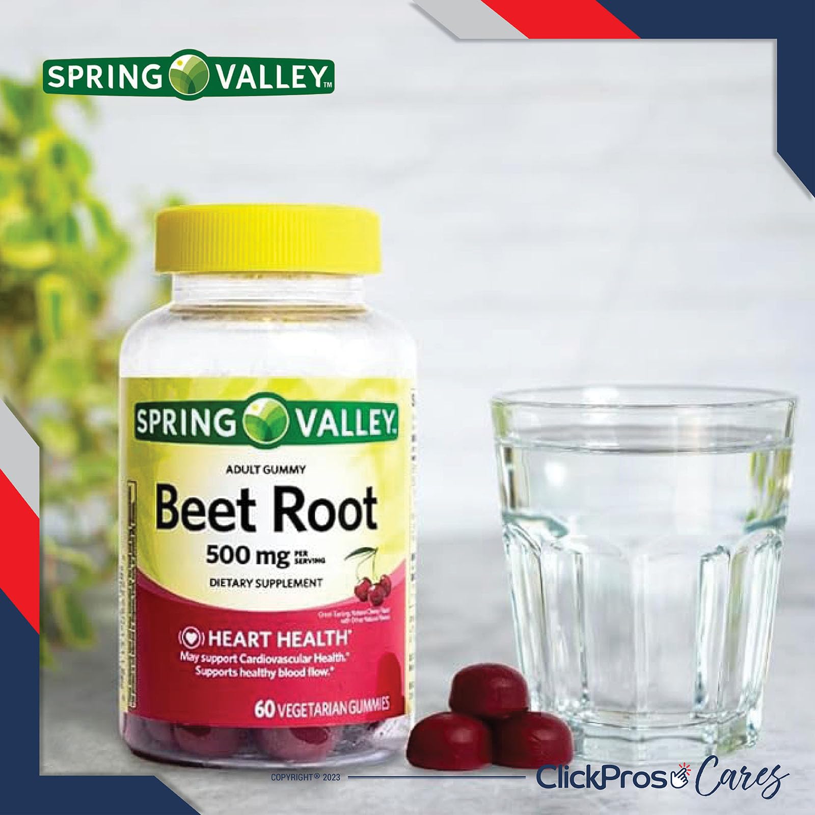 Spring Valley health supplements for vitality