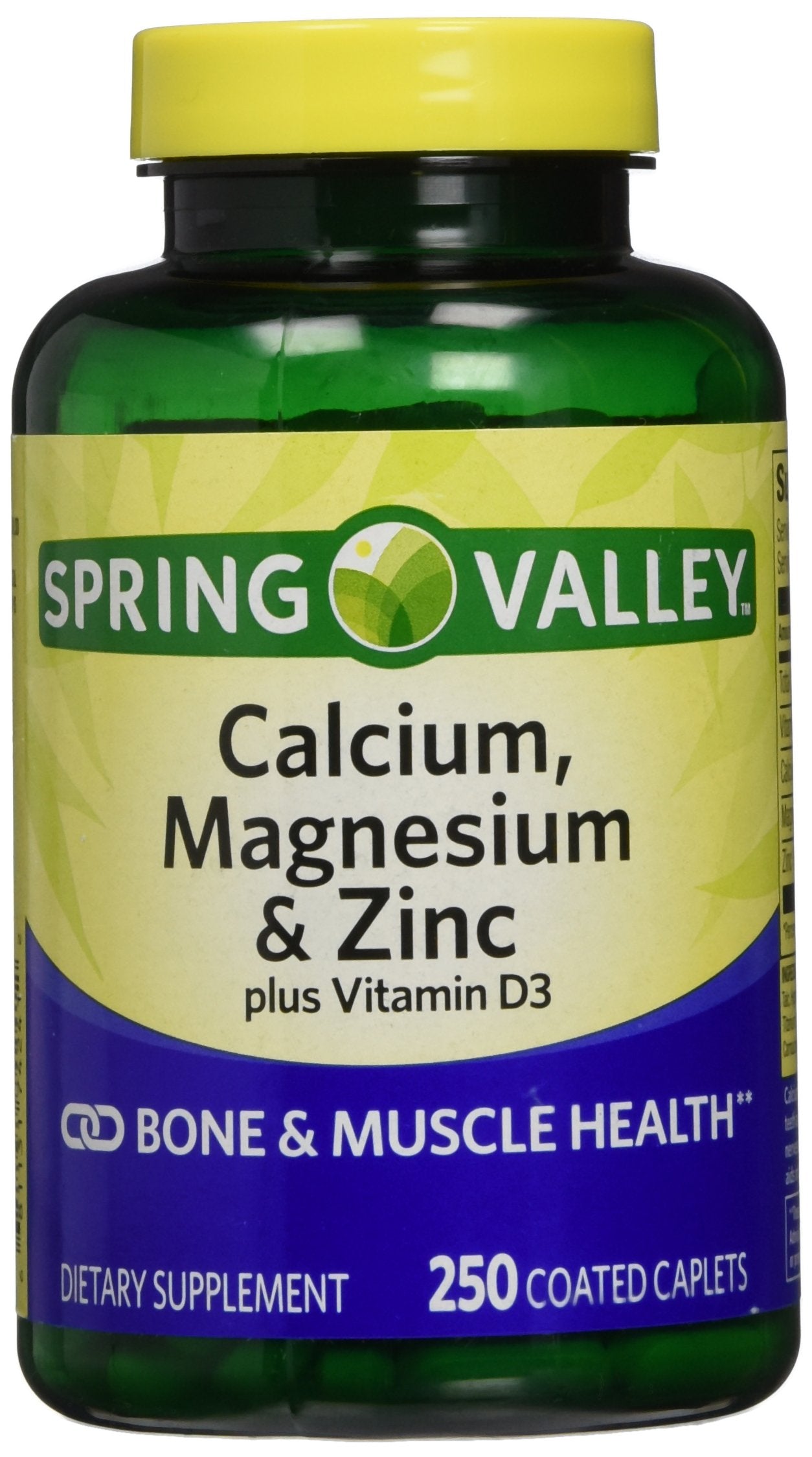 Spring Valley zinc supplement benefits