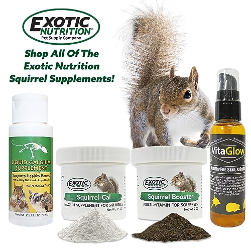 squirrel calcium for strong bones
