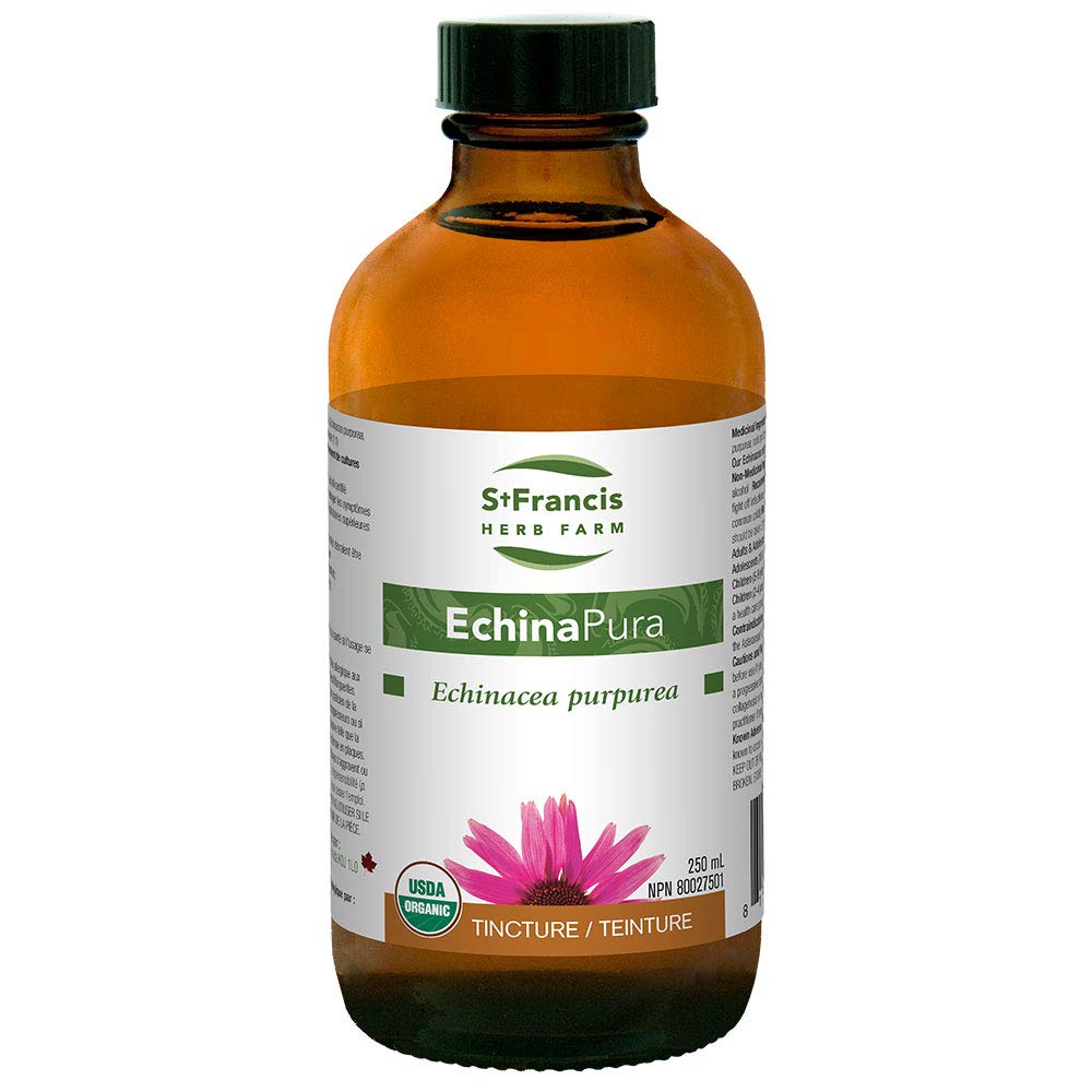 St Francis Echinacea tincture for immune support