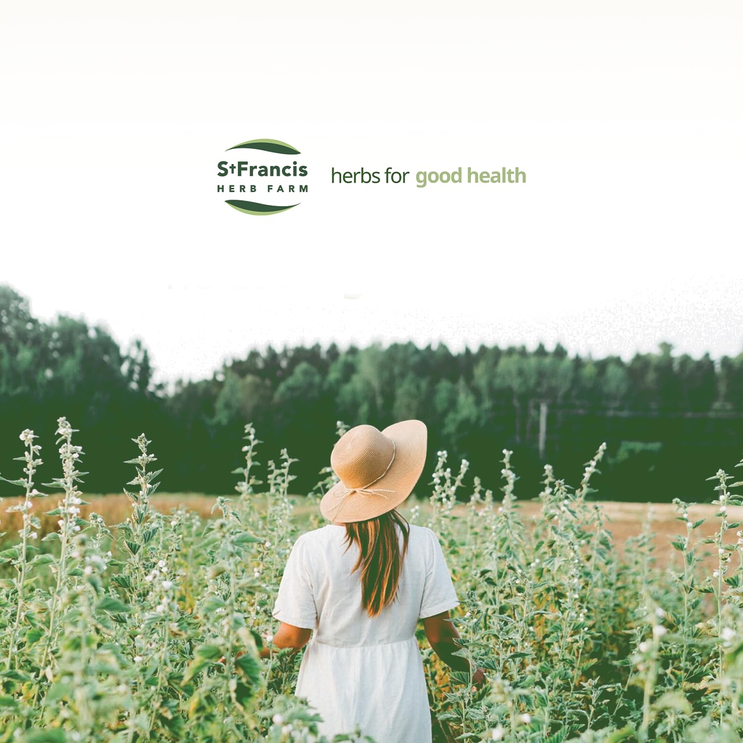 St Francis immune health liquid formula
