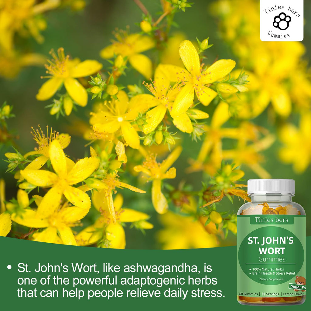 st. john's wort benefits for mental health