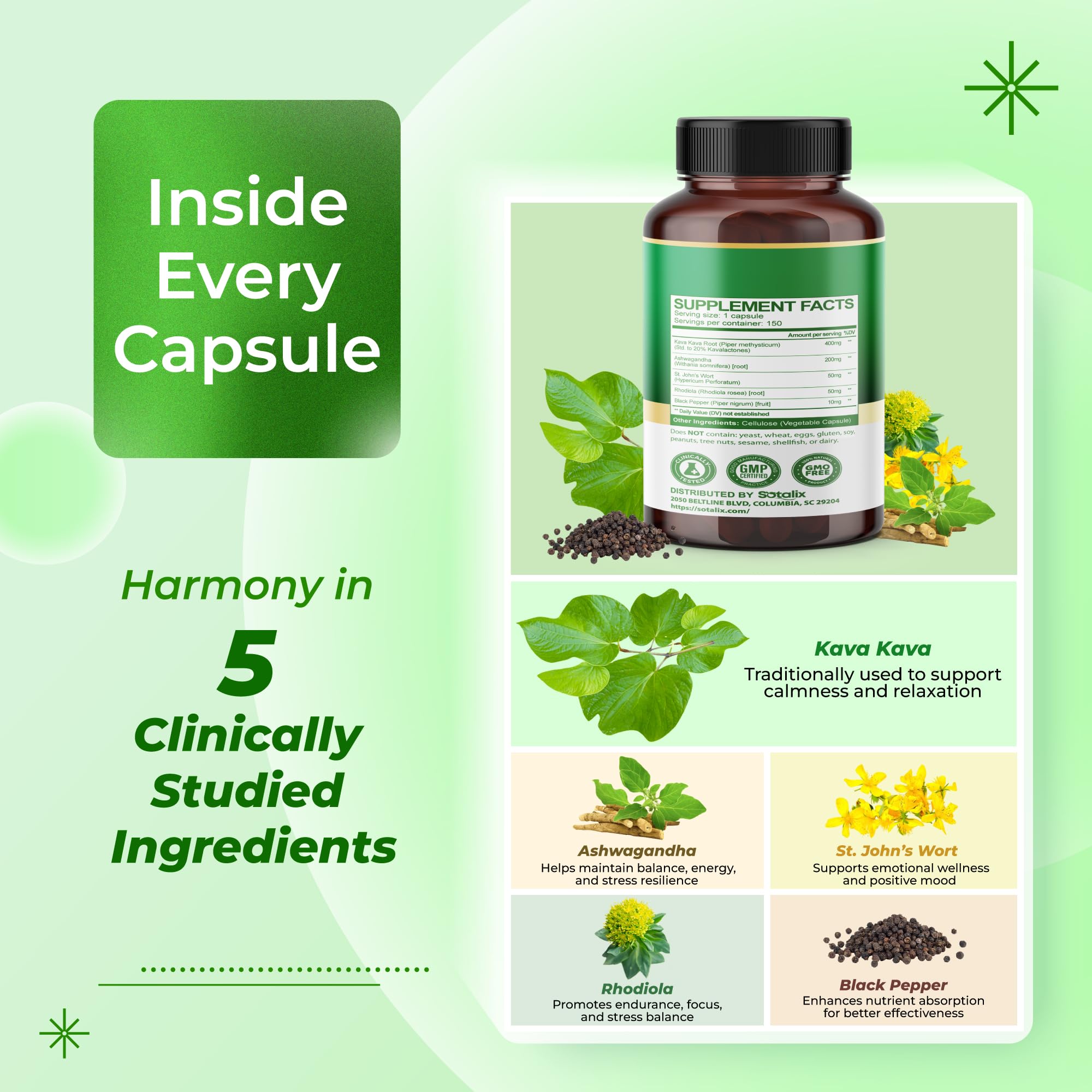st. john's wort capsules for daily wellness