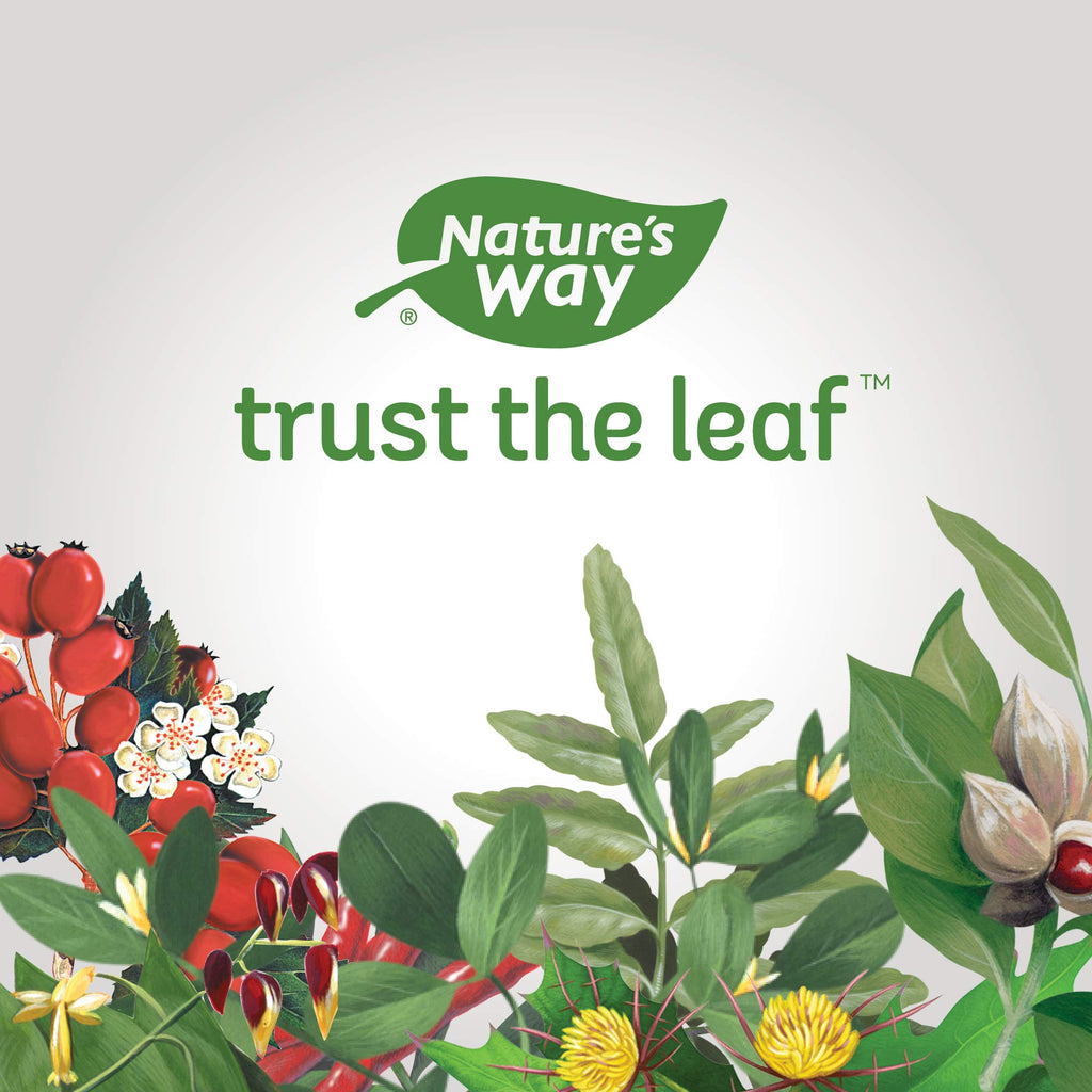 st. john's wort capsules for natural healing