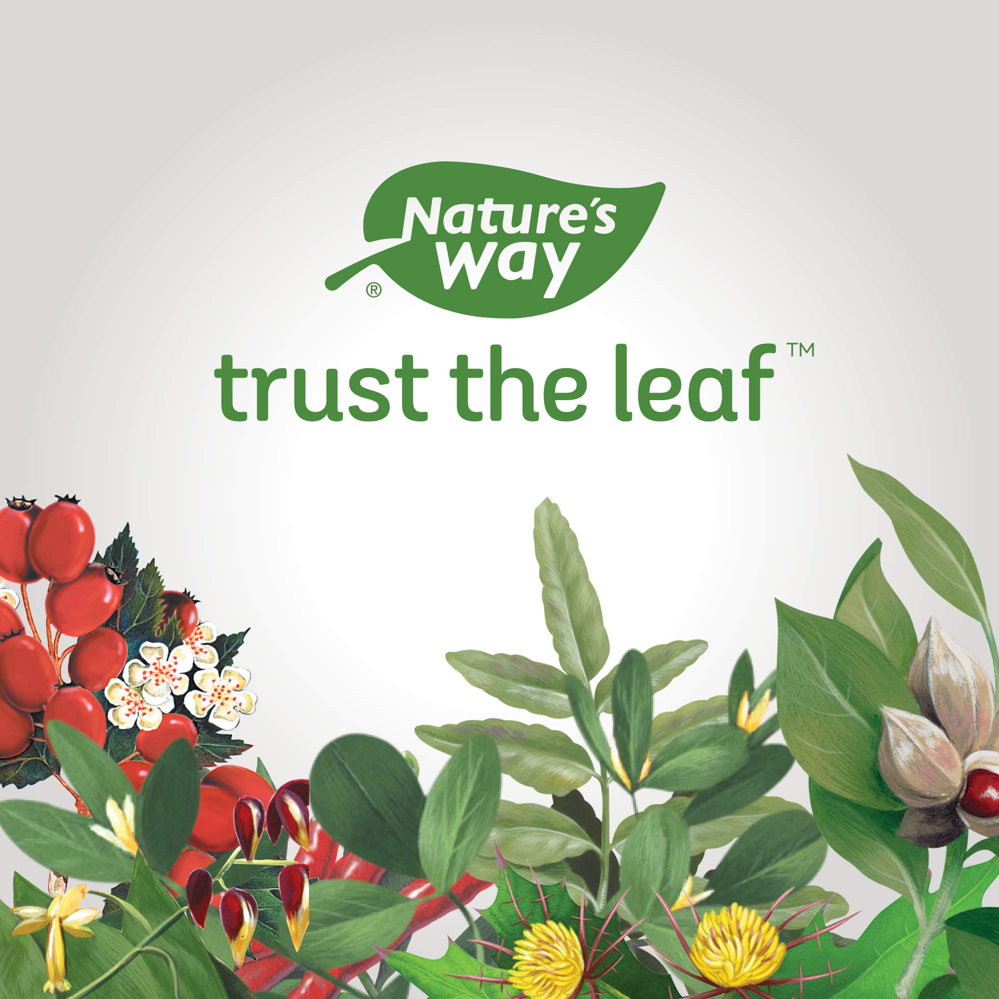 st. john's wort capsules for natural healing