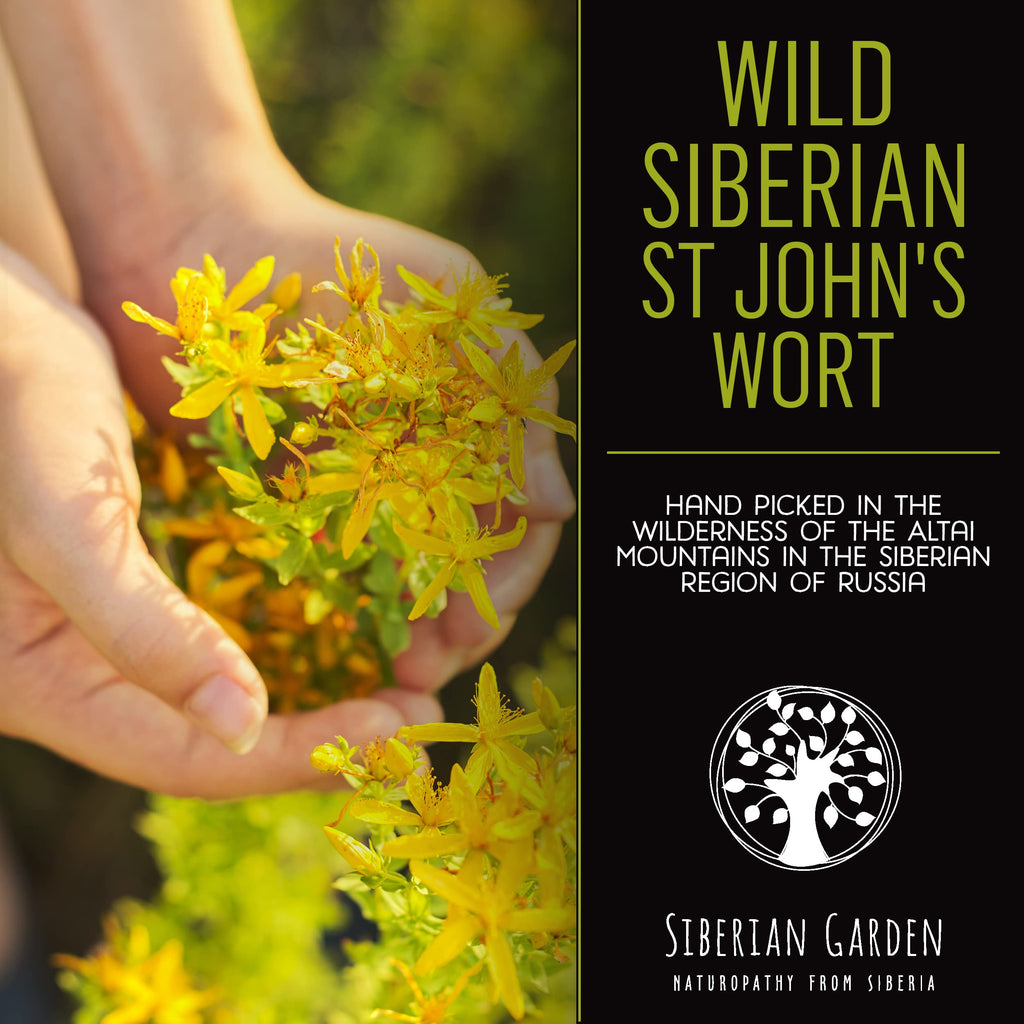 st. john's wort for anxiety support