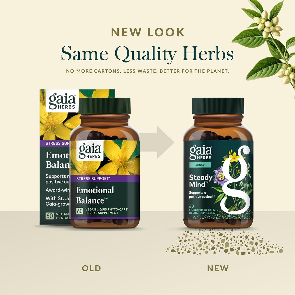 St. John's Wort for enhanced cognitive function