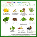 St. John's Wort for mood support
