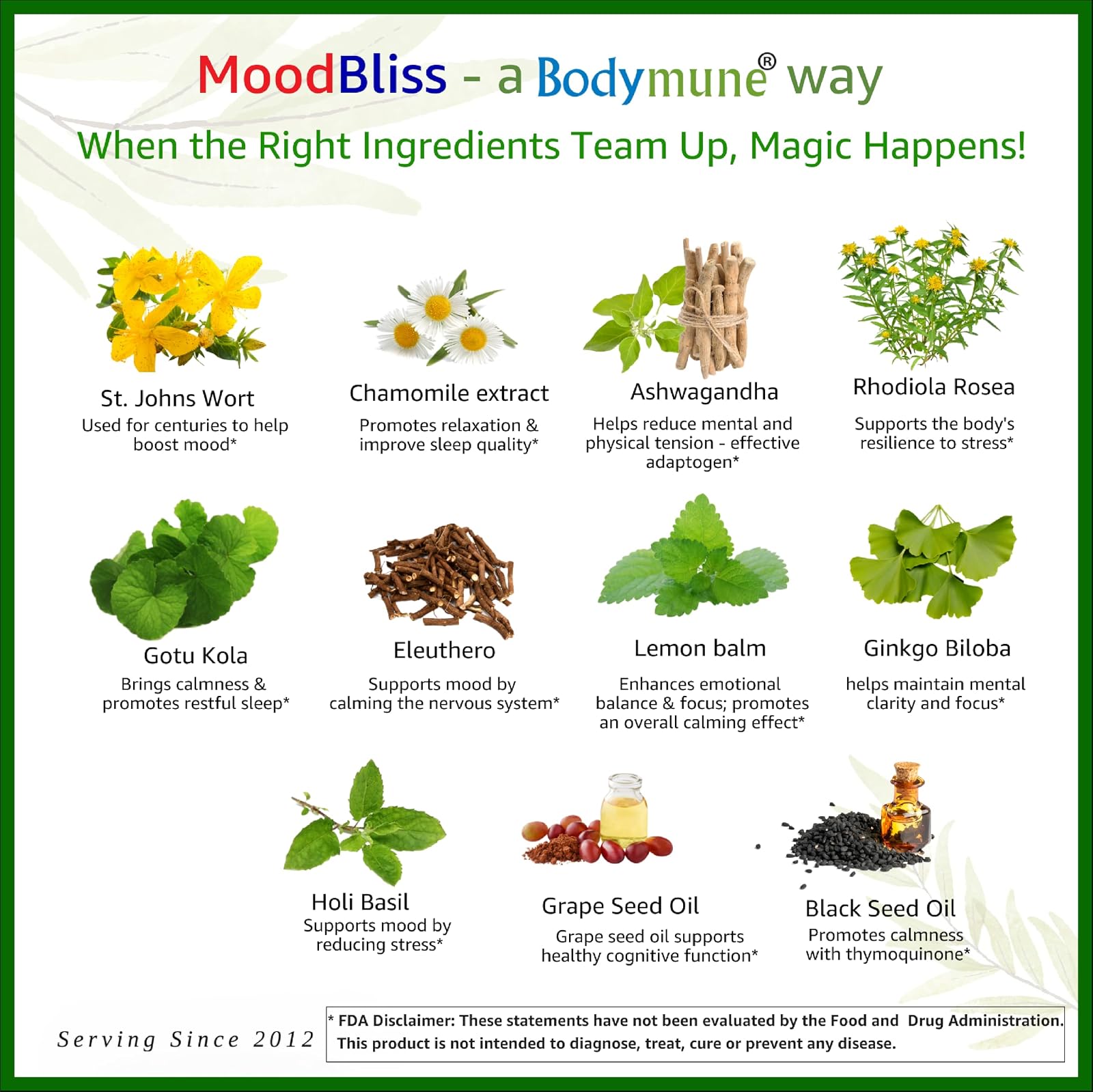 St. John's Wort for mood support