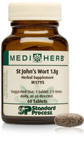st. john's wort for mood support