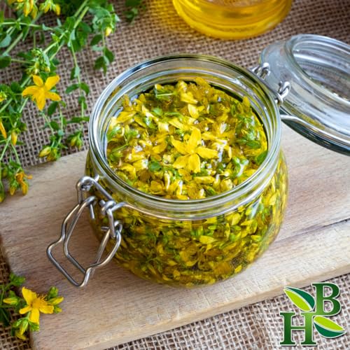 st. john's wort for natural wellness
