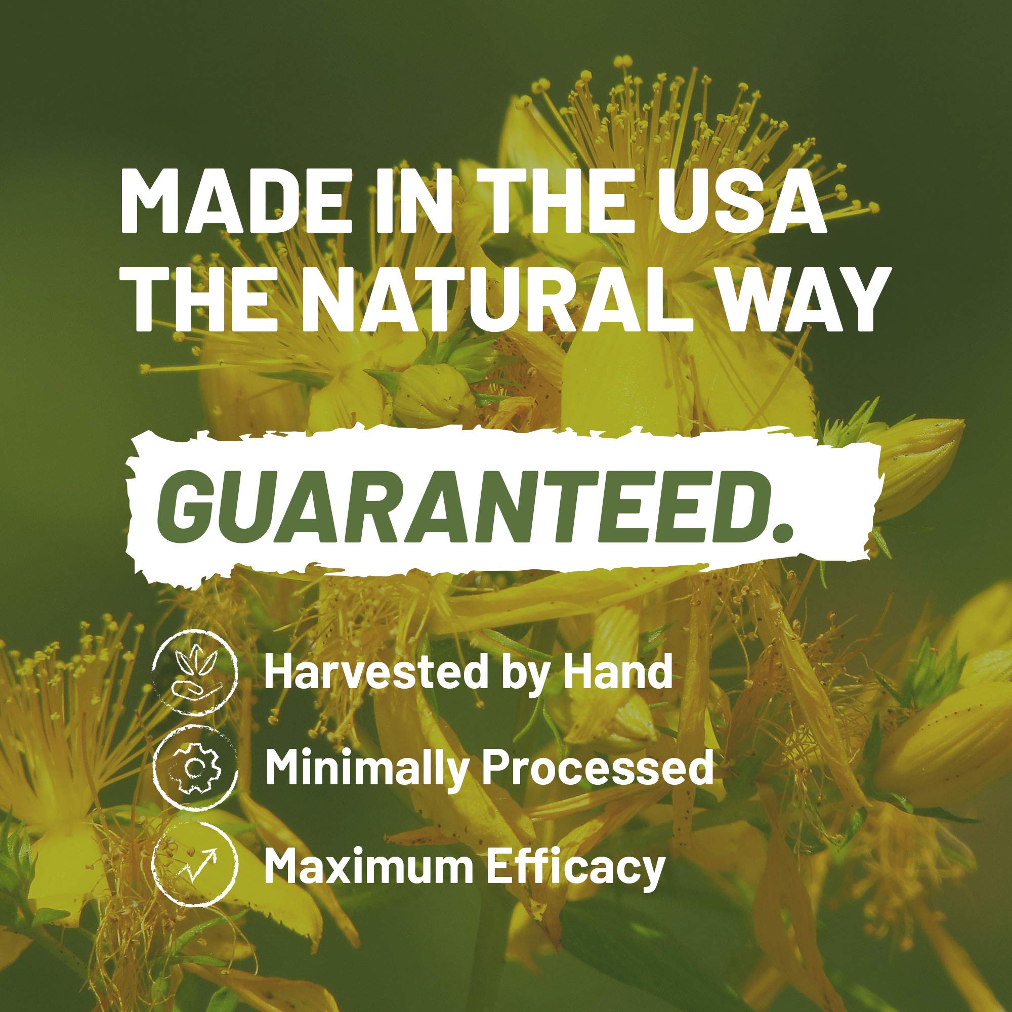st. john's wort for stress relief