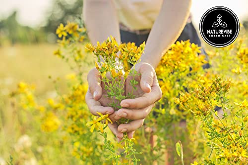 st. john's wort for stress relief