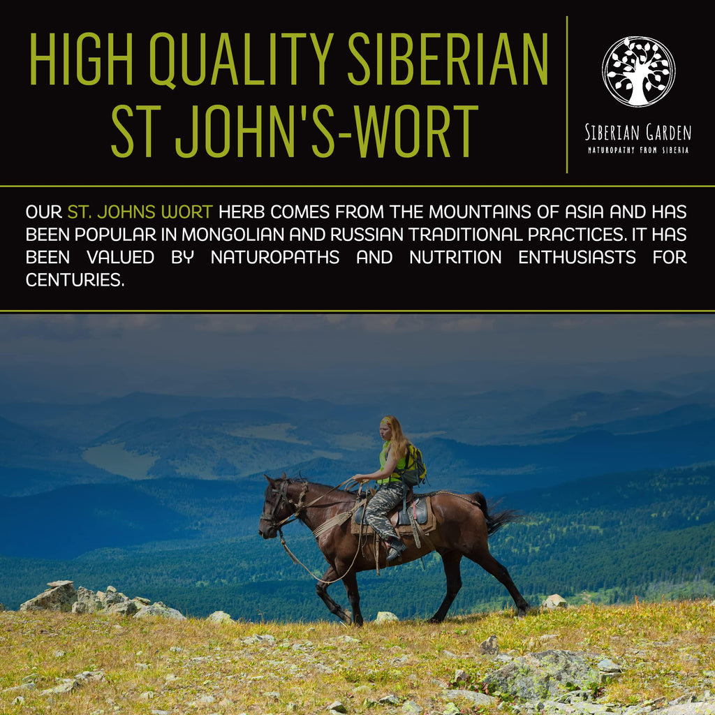 st. john's wort from Altai Mountains
