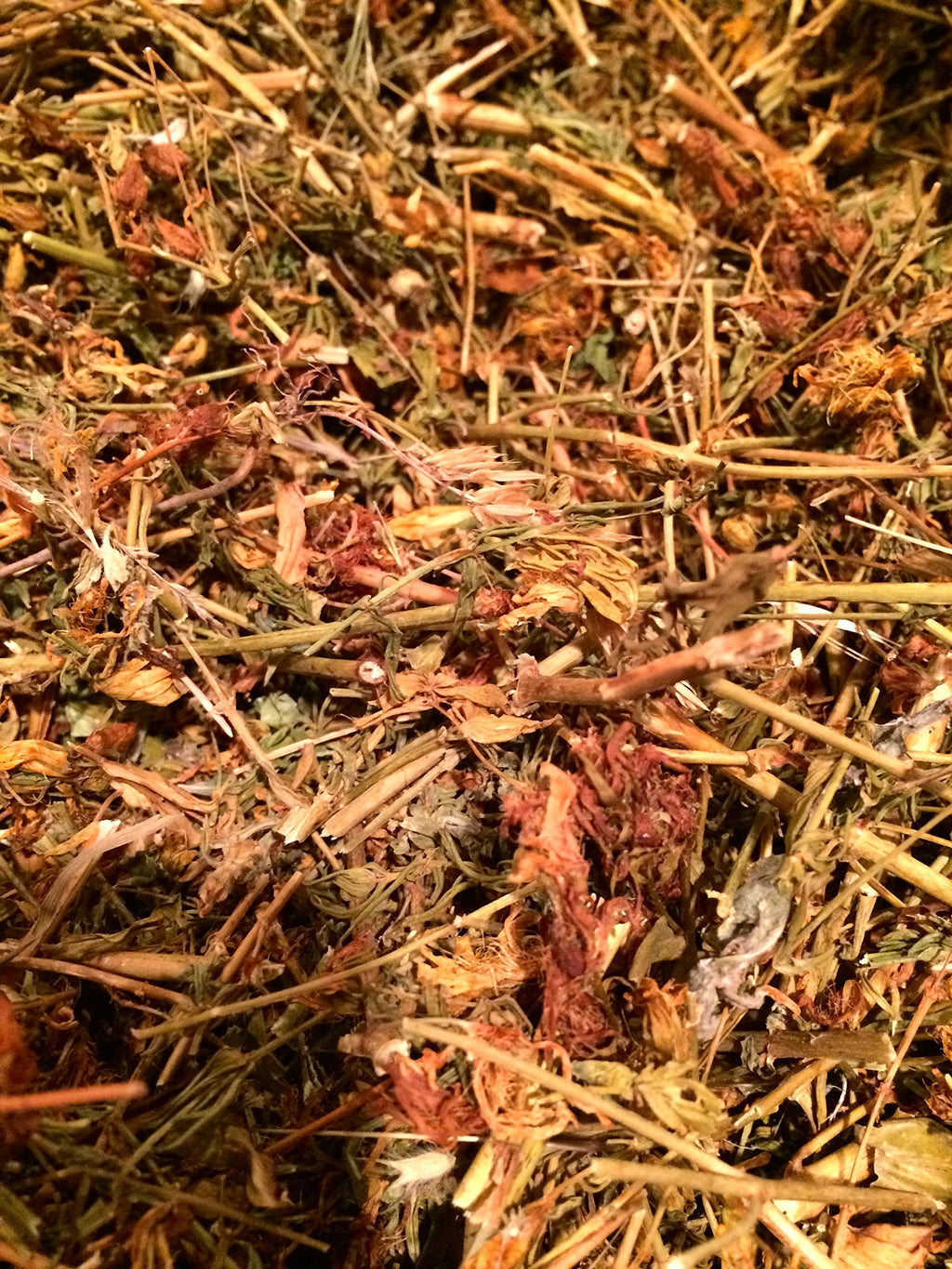 st. john's wort herbal supplement