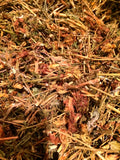 st. john's wort herbal supplement