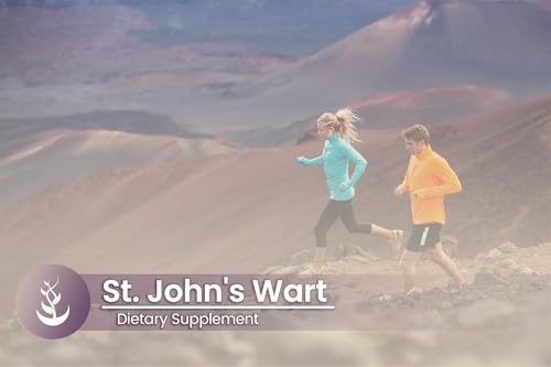 st. john's wort oil for holistic health